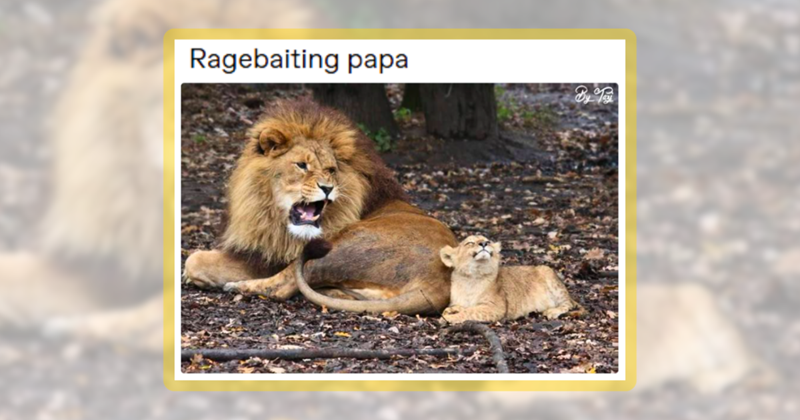 33 safari animal memes for a wildly wholesome midweek mood