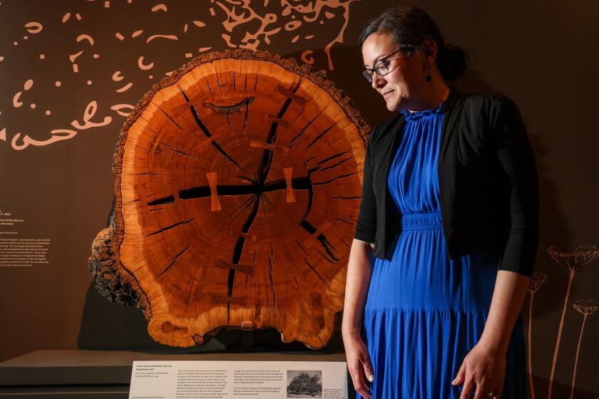 Woody Guthrie's guitar, a Gettysburg photo: 5 must-sees at the ...