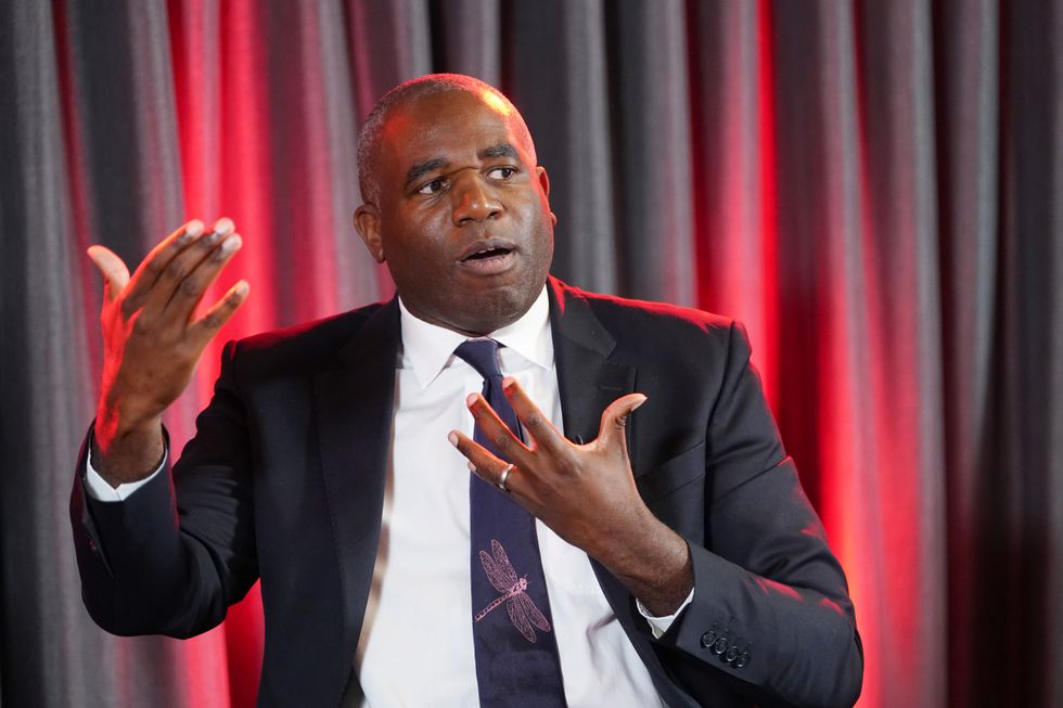 David Lammy picks pro-diversity academic to be in charge of choosing ...