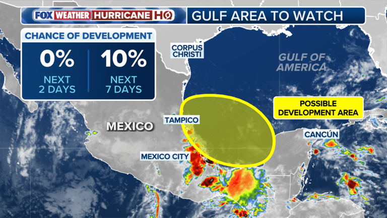 First area to watch designated in the Gulf for 2026 Atlantic hurricane ...