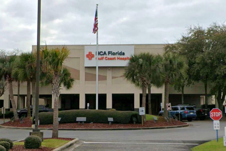 Shark attack leaves US Navy worker critically injured during lunch ...
