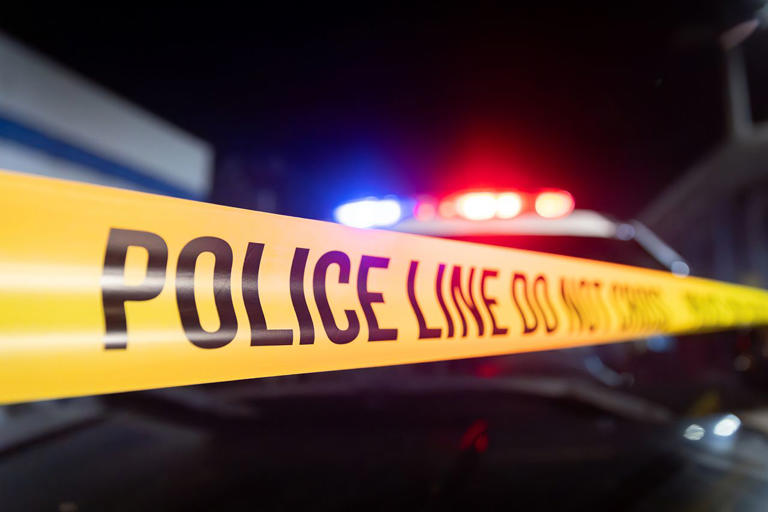 Pregnant mom who went missing with her 7 children 4 months ago found ...