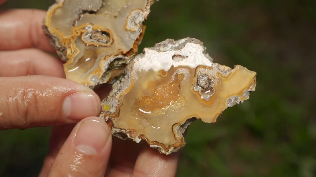 How a rough Florida geode revealed the most incredible banding after ...
