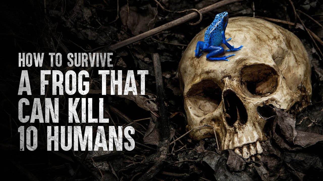 Discover the shocking scientific facts about surviving a poison dart frog