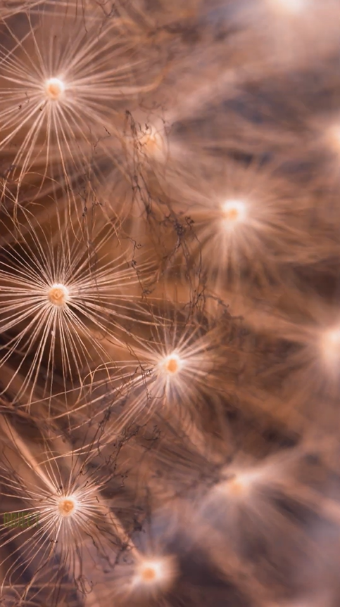 Objects in Super Slow Motion Best of Years