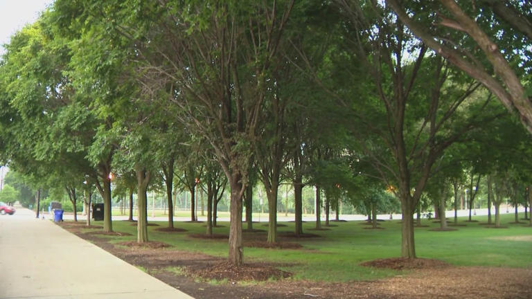 Investigation underway after burning cross found at Grant Park