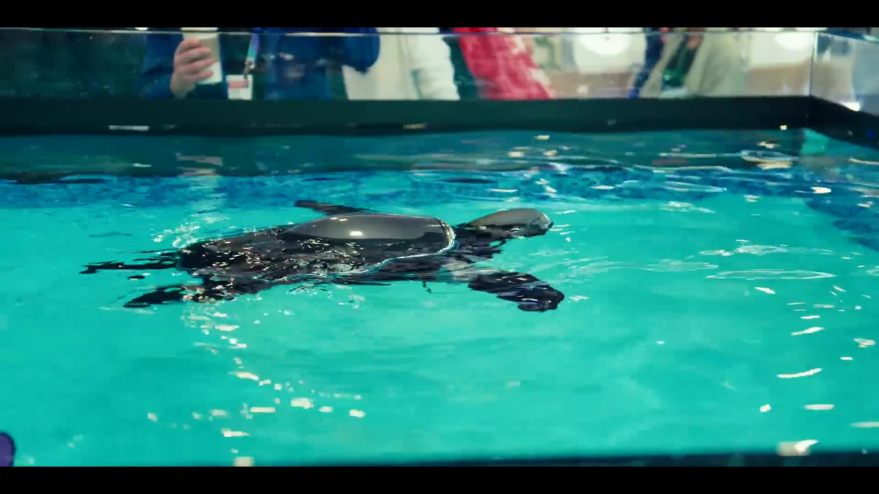 They created a pool robot - here’s how it changes everything