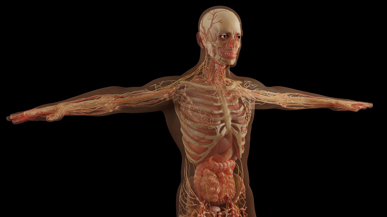 Regulating the nervous system: The hidden bottleneck in modern health ...