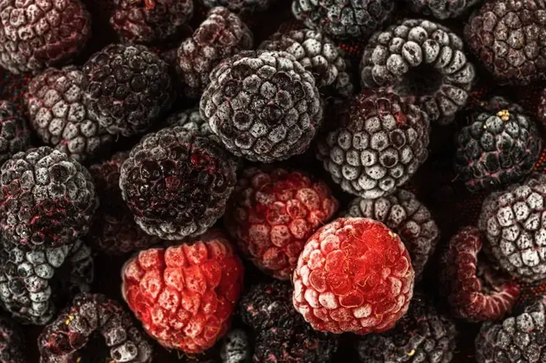 7 tricks to keeping your berries fresh for up to two weeks