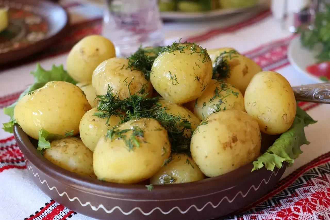 9 vegetables most people have no idea should never be eaten raw
