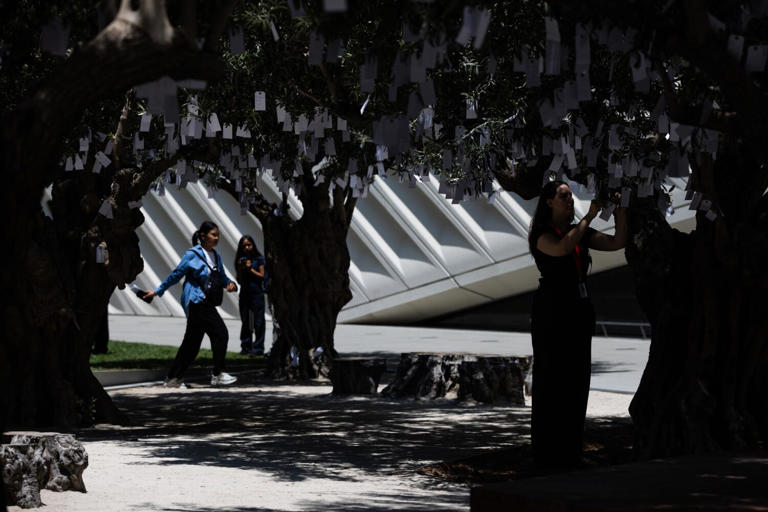 500 LA wishes a day: Behind the massive 'harvest' at Yoko Ono's 'Wish ...