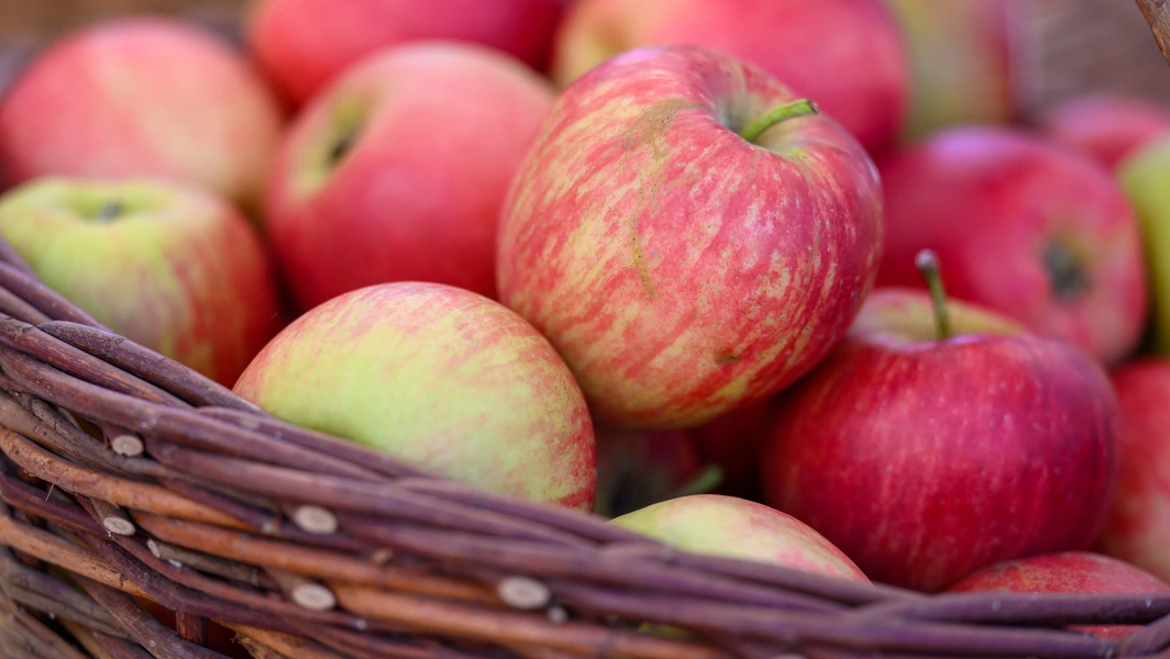 Cozy apple snacks to warm your fall days