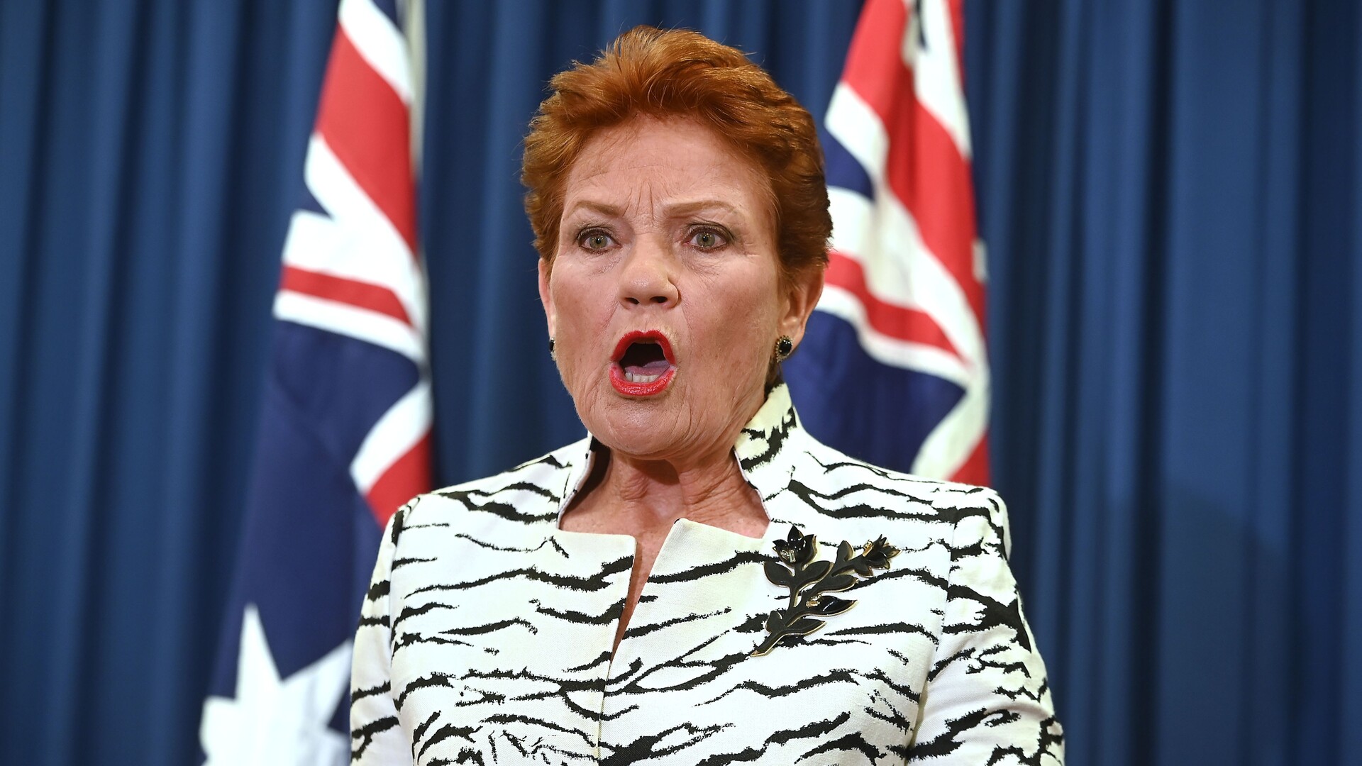 Hanson destroying Labor Party at their own game as 'Fire the Liar ...