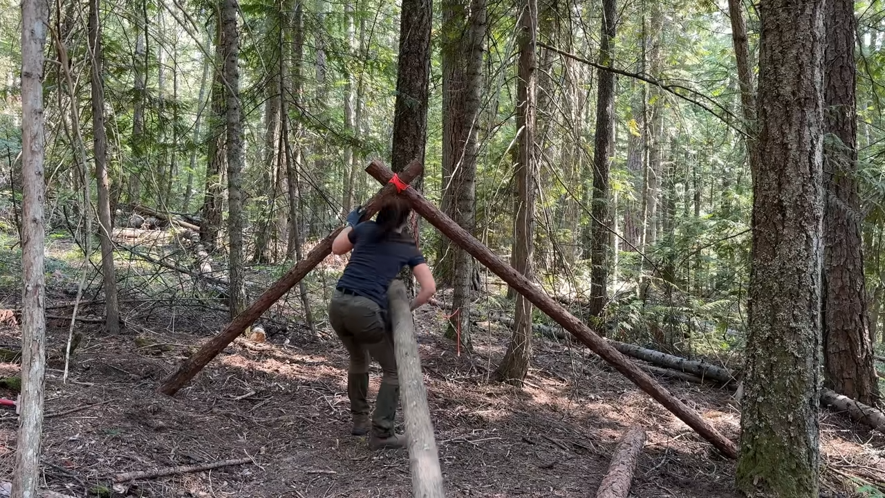 Watch how this girl builds a log shelter alone deep in the wild