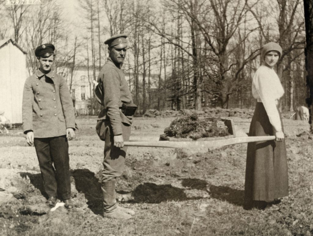 The Romanov family in 30 historical photos