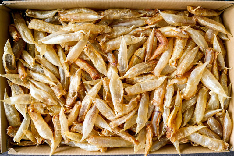 Truck driver arrested as HK$10m of injections, fish maw seized at Hong ...