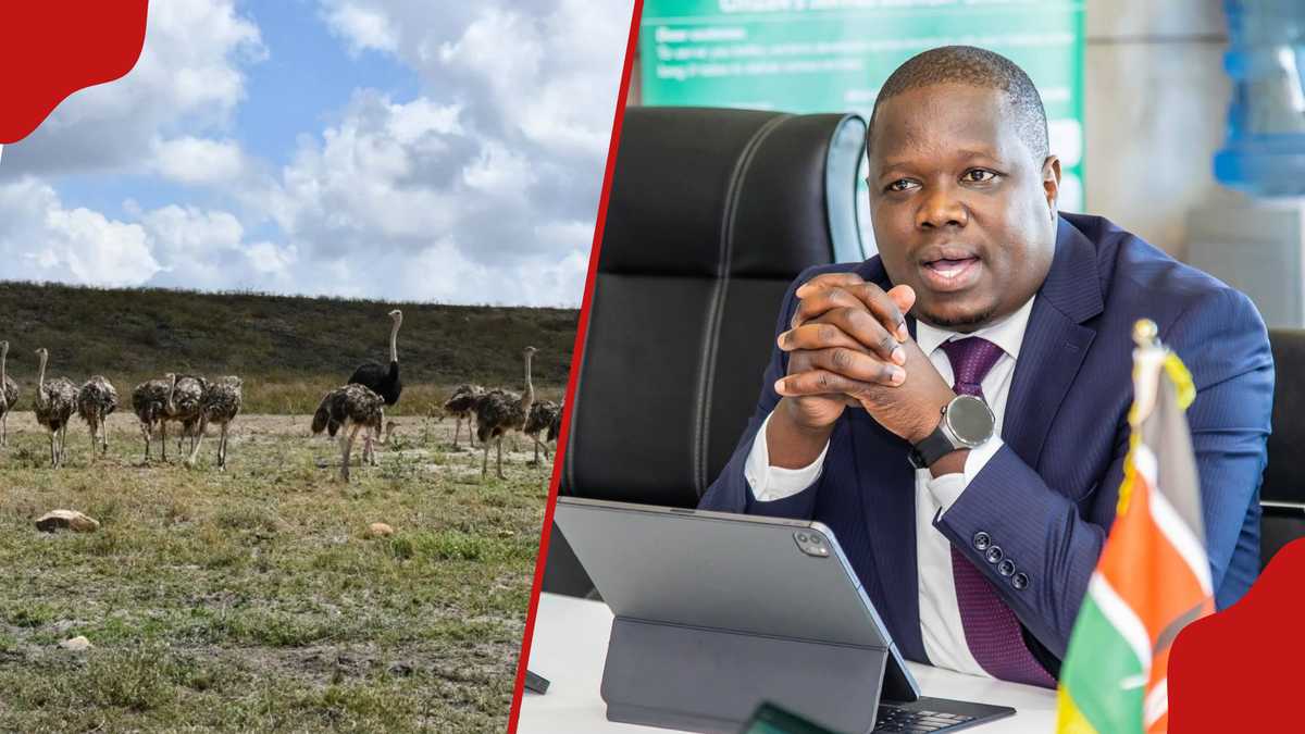 Konza Technopolis becomes Africa’s first smart city with wildlife ...