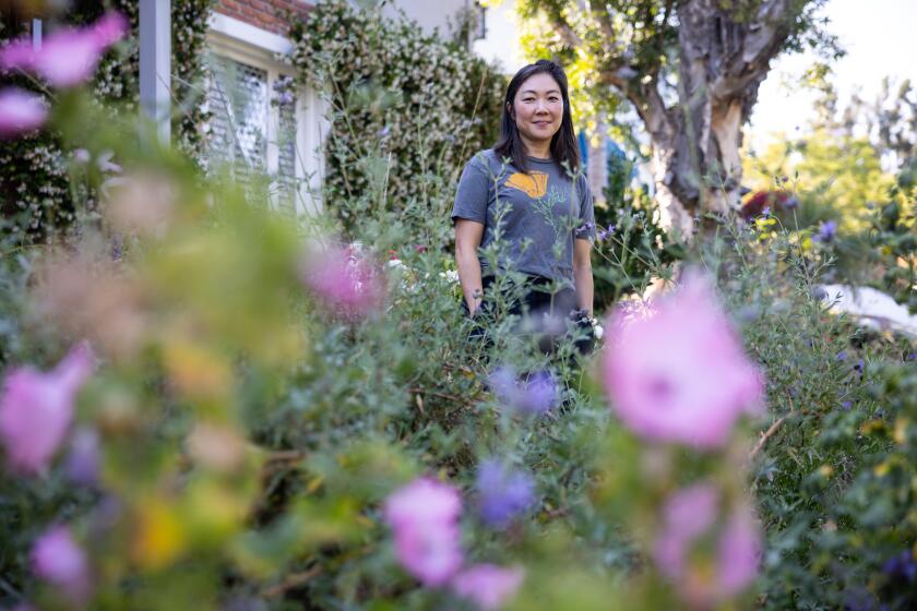 Her water bill was 'insane.' So she tore out her lawn and planted a ...