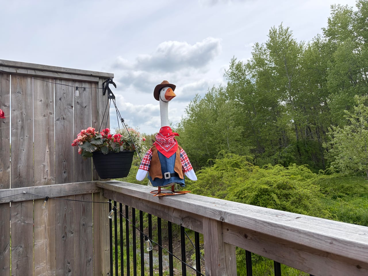 What's a porch goose? It's the latest trend taking over doorsteps