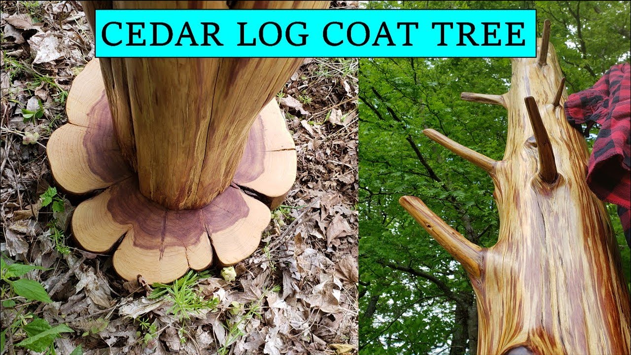 Western red cedar log rustic coat tree DIY project
