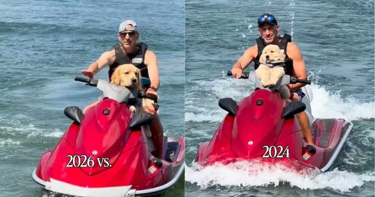 Golden Retriever Was a Baby When He Started Jet Skiing With Dad ...