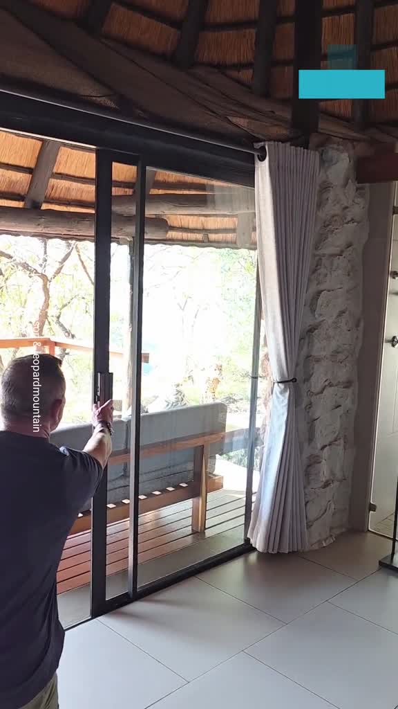 Real Housewives star has unforgettable encounter with cheetah