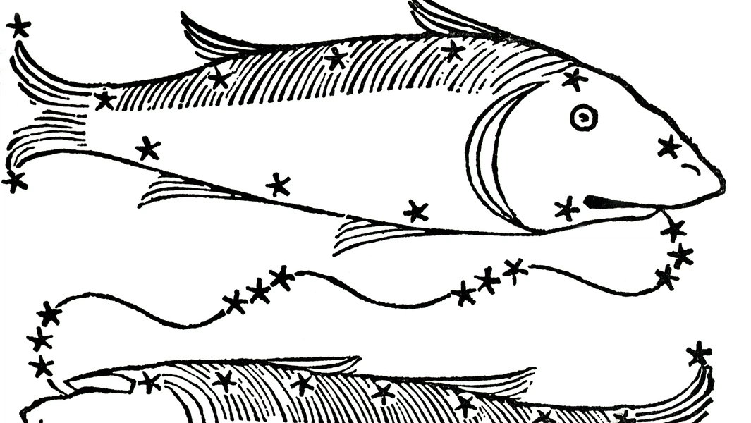 Astrologers urge Pisces to balance energy and embrace self-care