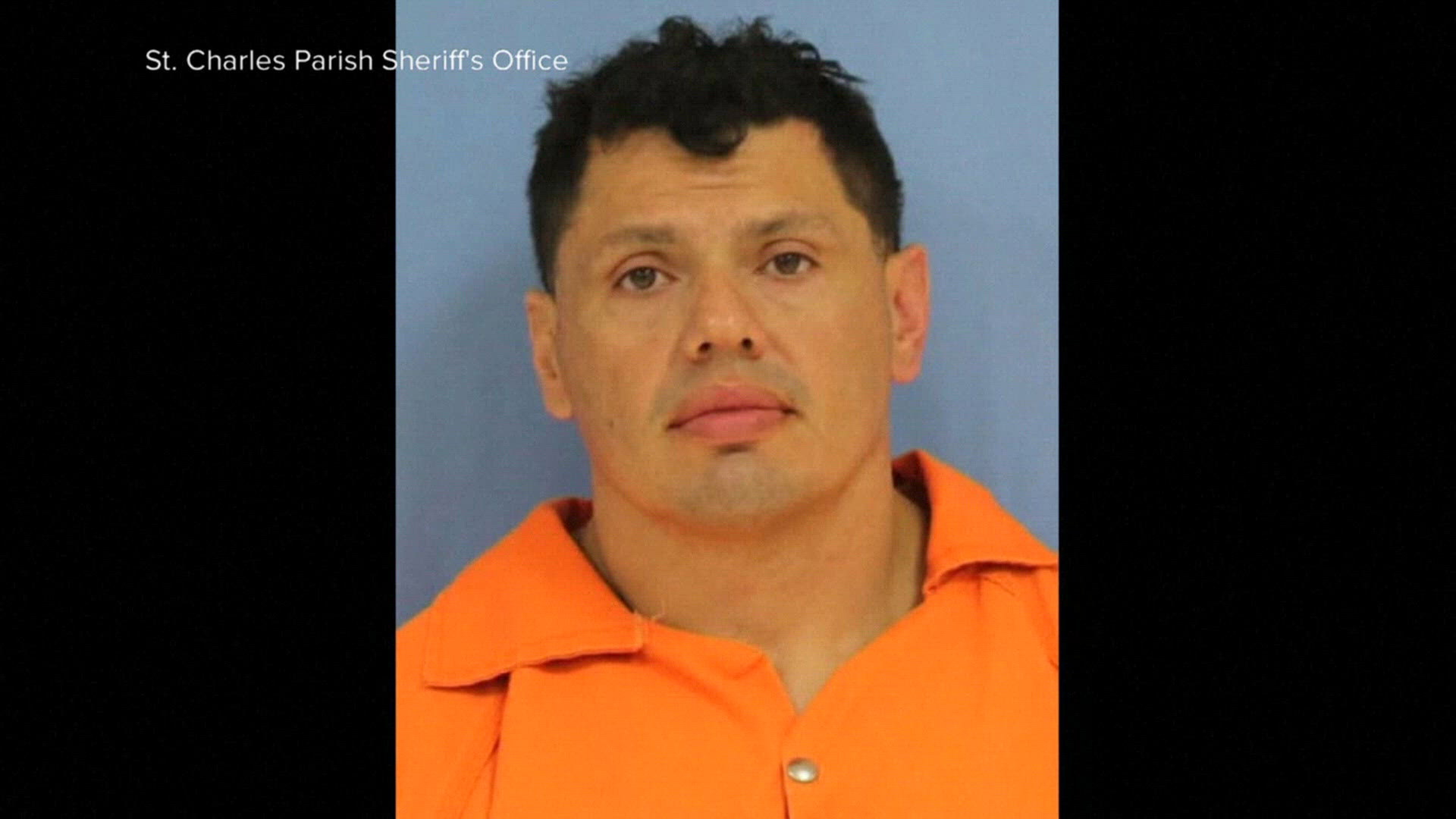 DWI suspect attacked by an alligator while running from police