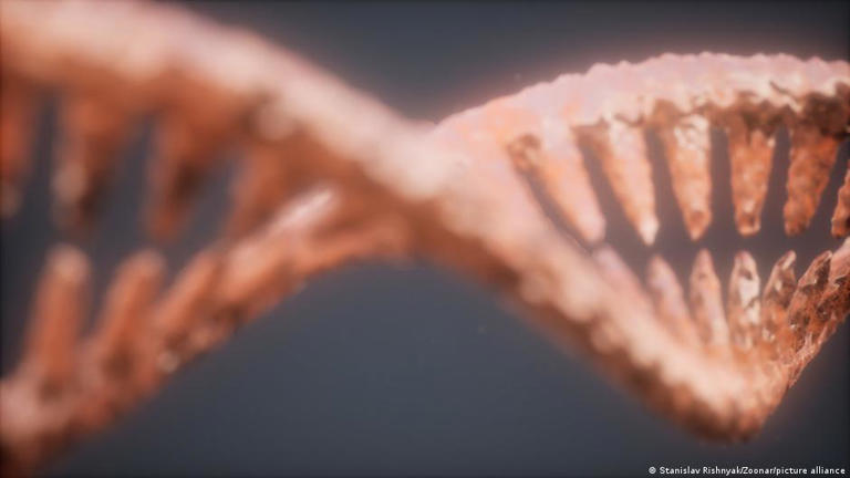 DNA had one rule. Bacteria didn't get the memo