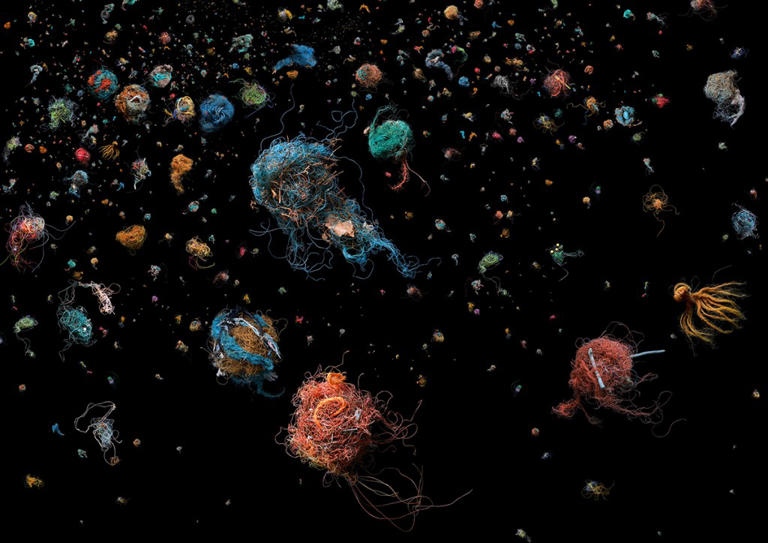 Don’t miss this must-see event celebrating the power of environmental ...