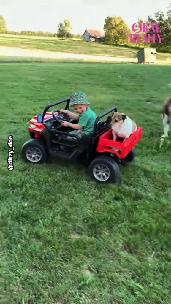 Little boy gives his dog a ride in his mini jeep