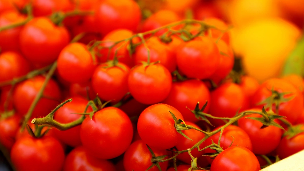 Salsa secrets every home cook needs to know