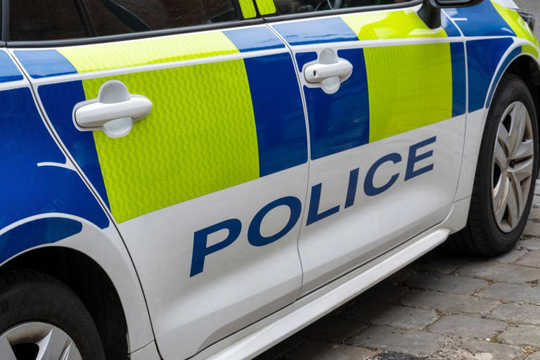 Convicted paedo dog-sitter back behind bars after what cops found on ...