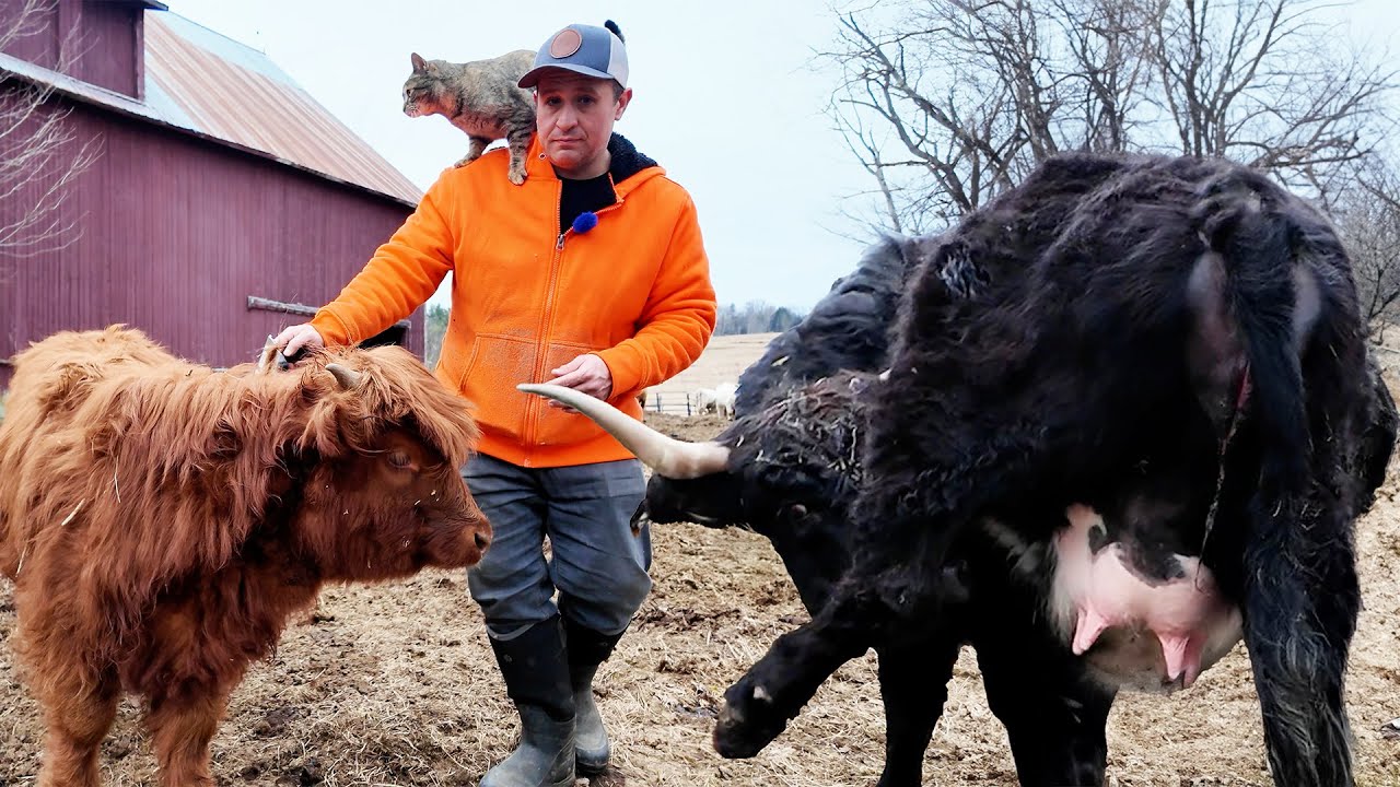 Discover why something weird is happening to animals on my farm