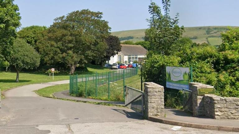 School closure will cause 'immeasurable harm'