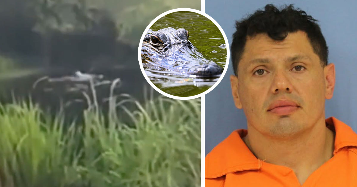 Wild video shows alleged drunk driver run from cops and right into the ...