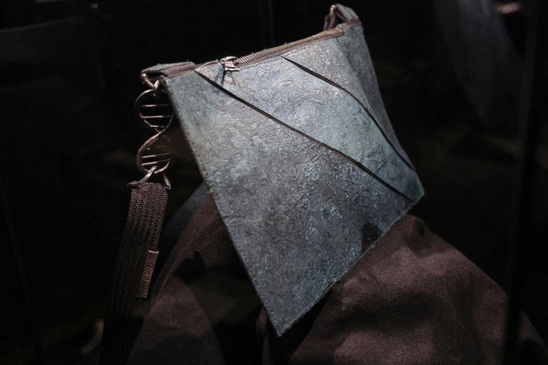 Is this the world's oldest bag? 'T-Rex' leather clutch is about to go ...