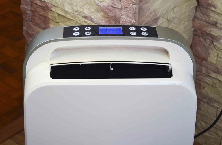 This is the best basement humidity level in summer to prevent mold and ...