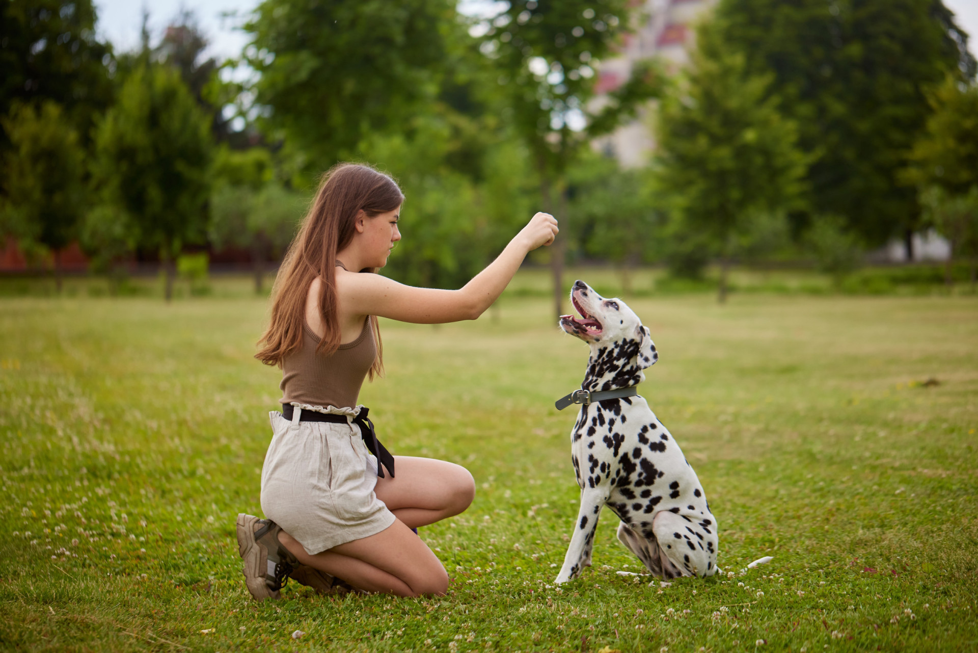 The most common mistakes dog owners make