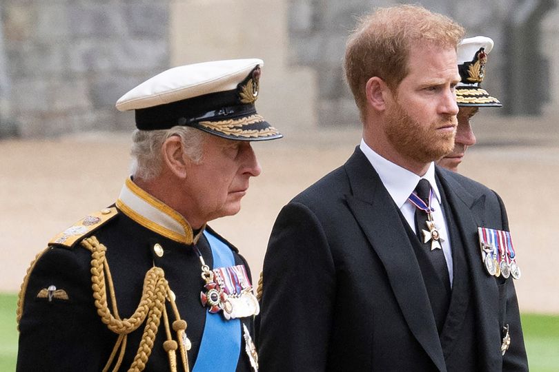 Princess Lilibet must follow one major royal rule in reunion with King ...