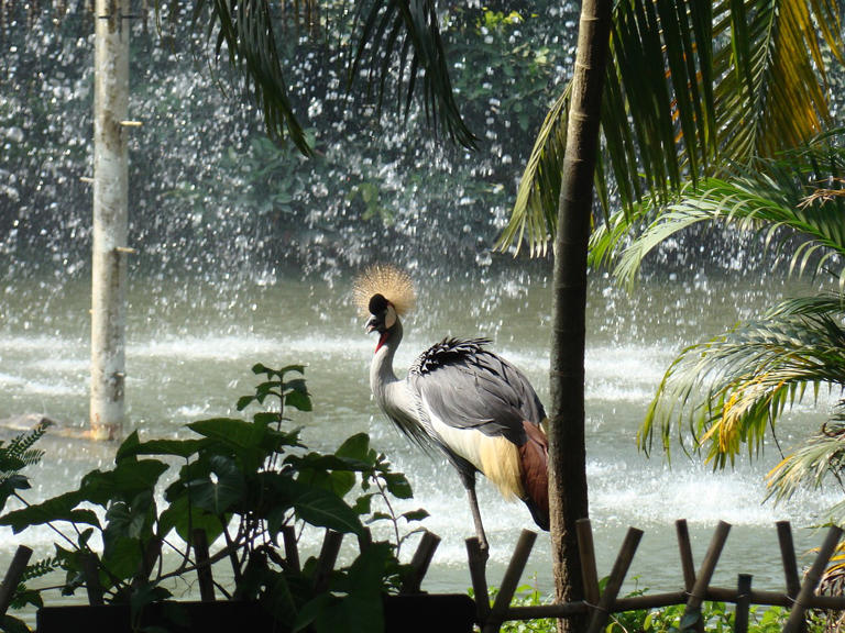 What nature photos are you most proud of? Show us your best shots