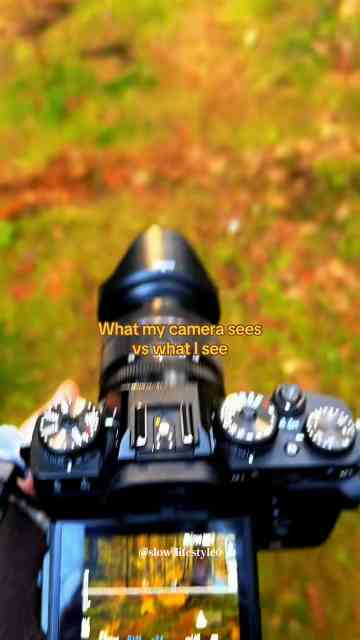 Nature photography my camera VS what I really see