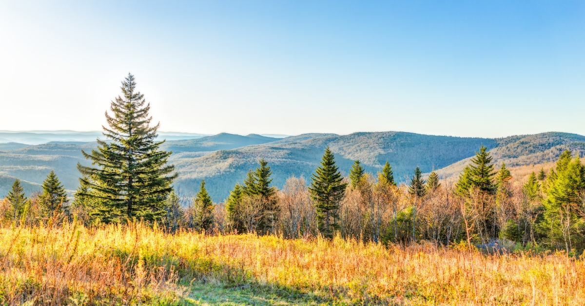 13 Appalachian towns where a couple can live on nothing but Social Security