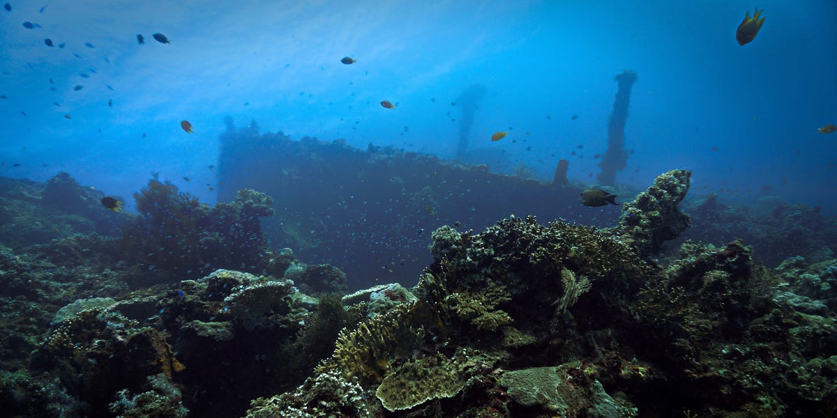 The last ship from WWII’s ‘Little Pearl Harbor’ was lost to history ...