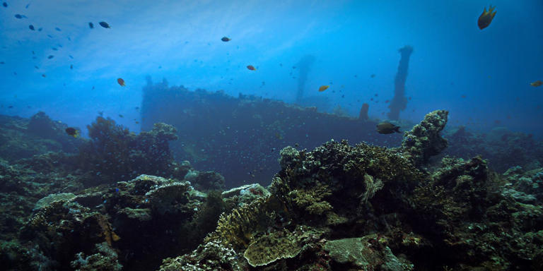The last ship from WWII’s ‘Little Pearl Harbor’ was lost to history ...