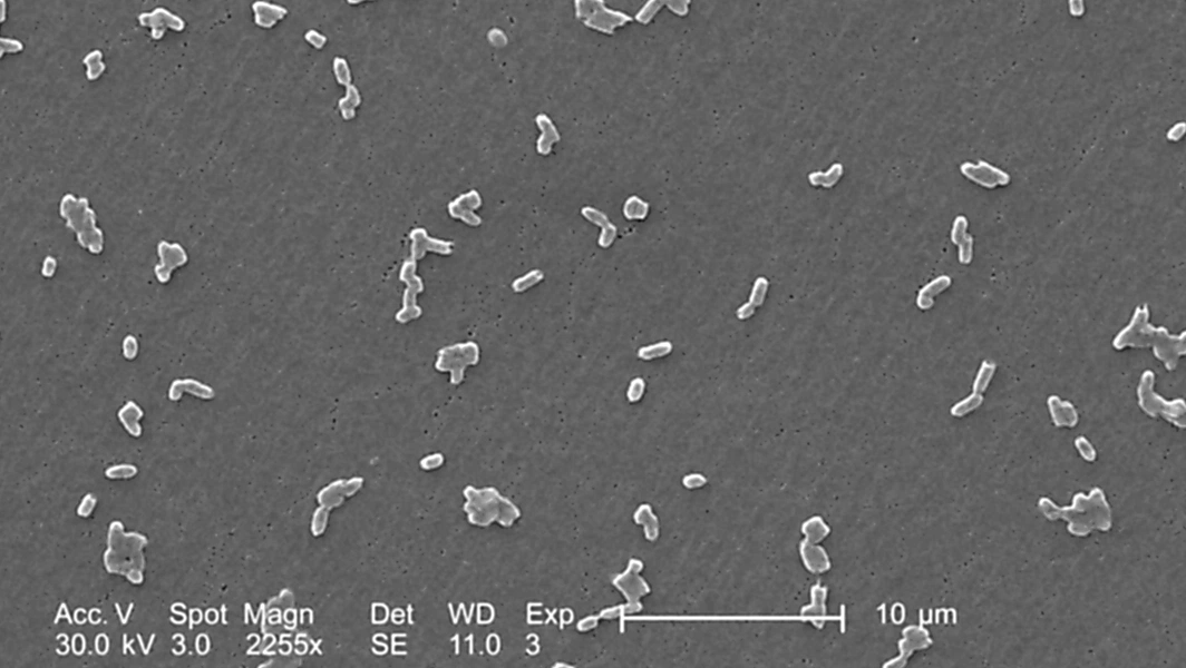 9 everyday items that spread germs easily