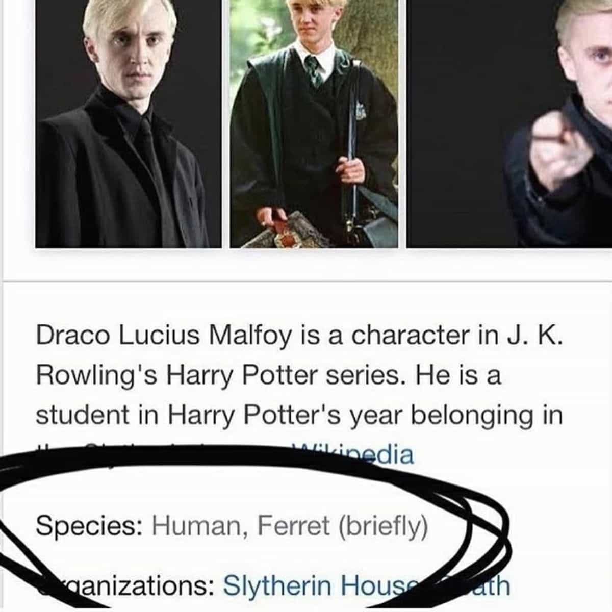 Slytherin memes