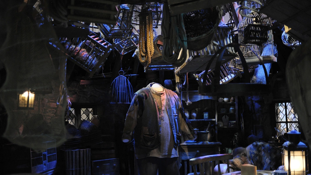10 Harry Potter book characters missing from the films