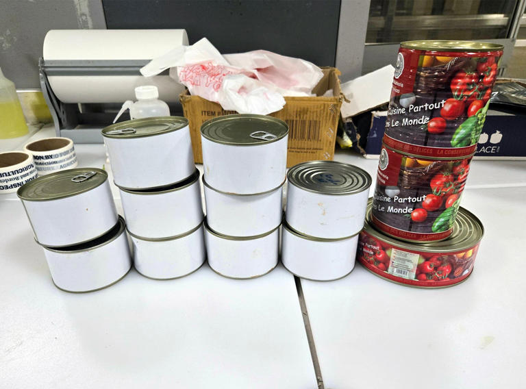 44 pounds of prohibited food detected by CBP beagle at NoVA airport