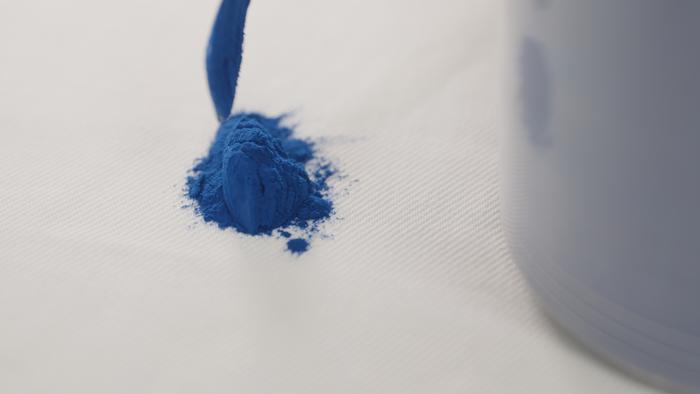 EU researchers aim to scale algae-based textile innovation